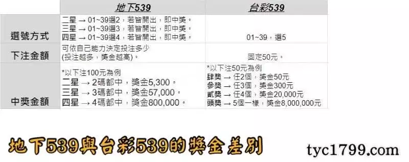 539號碼分佈圖報牌給你知｜挑出心水號進行準確下注-TYC娛樂城